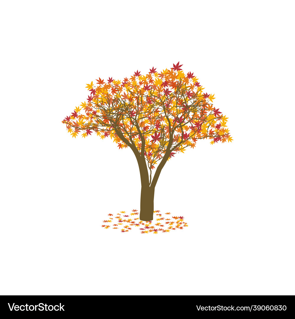 Autumn tree for concept design Royalty Free Vector Image