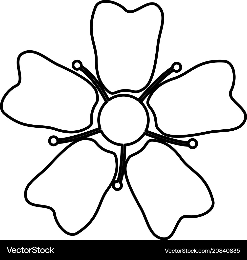 Flower sakura icon black color flat style simple Vector Image