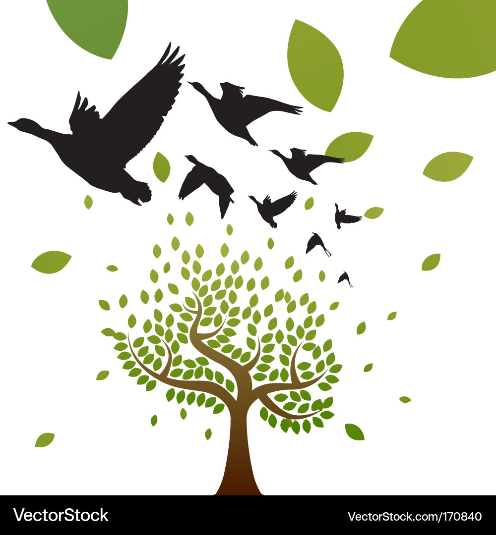 Bird And Tree Design