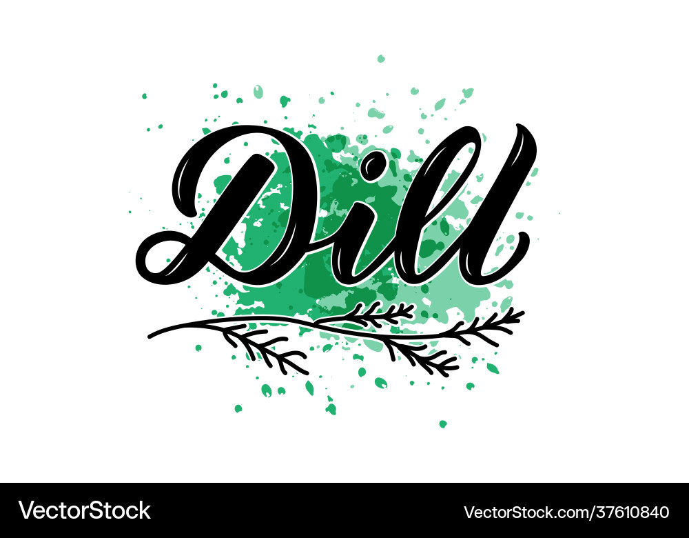 Dill black text on green watercolor background Vector Image