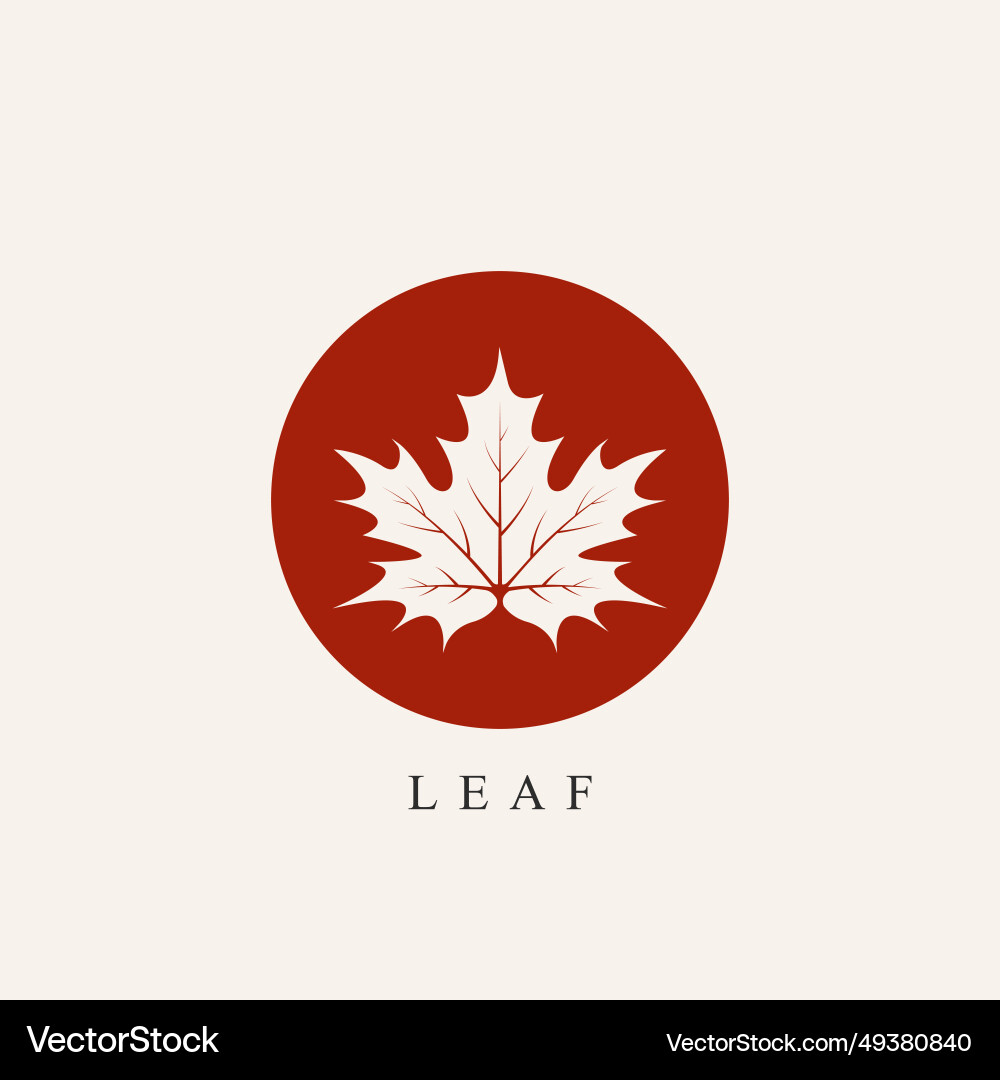 Maple leaf line art logo design Royalty Free Vector Image