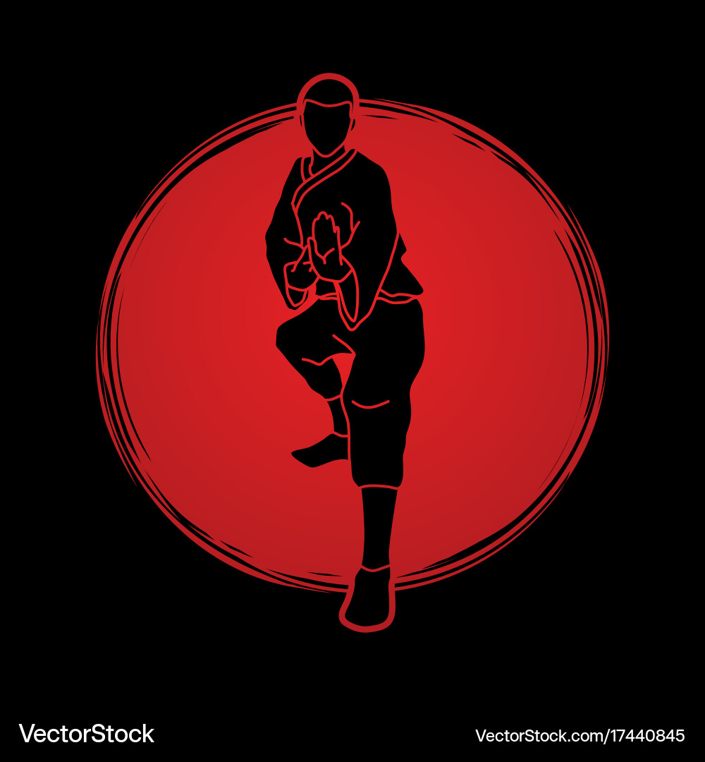 Kung fu action ready to fight front view Vector Image