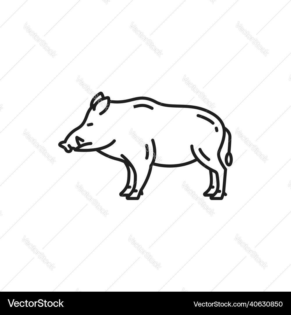 Wild boar german hog isolated thin line pig Vector Image