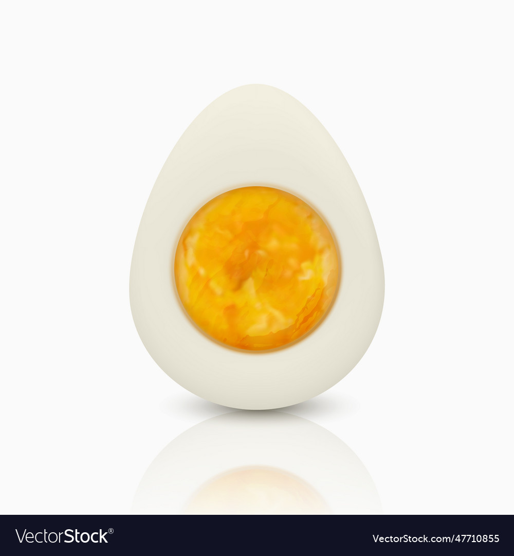 3d realistic chicken egg peeled boiled Royalty Free Vector