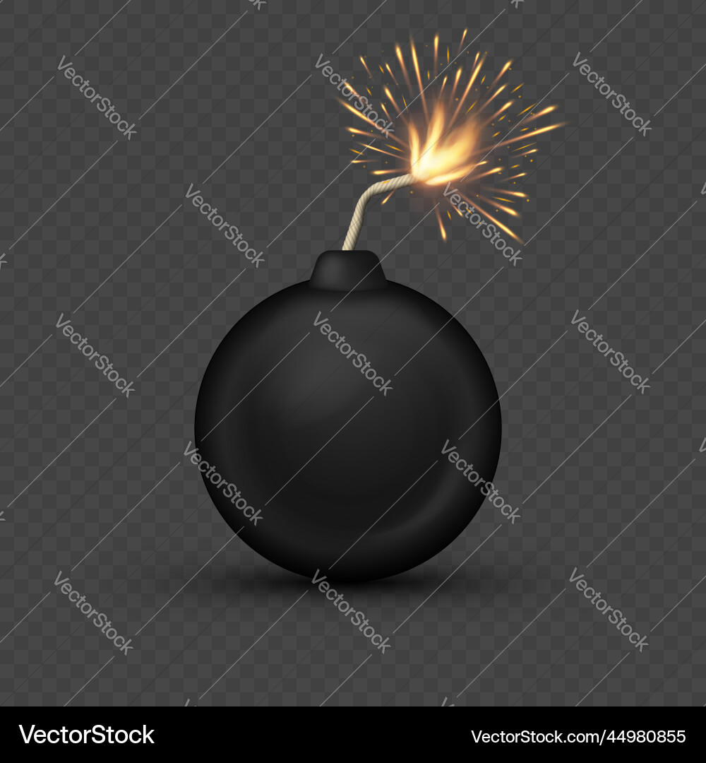 Burning fuse black bomb with spark Royalty Free Vector Image