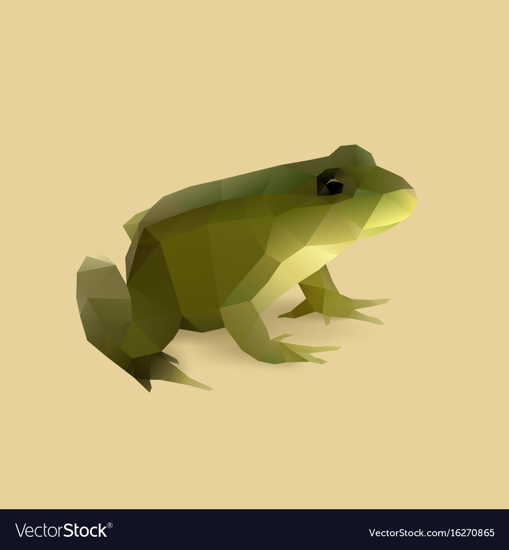 Frog Royalty Free Vector Image - VectorStock