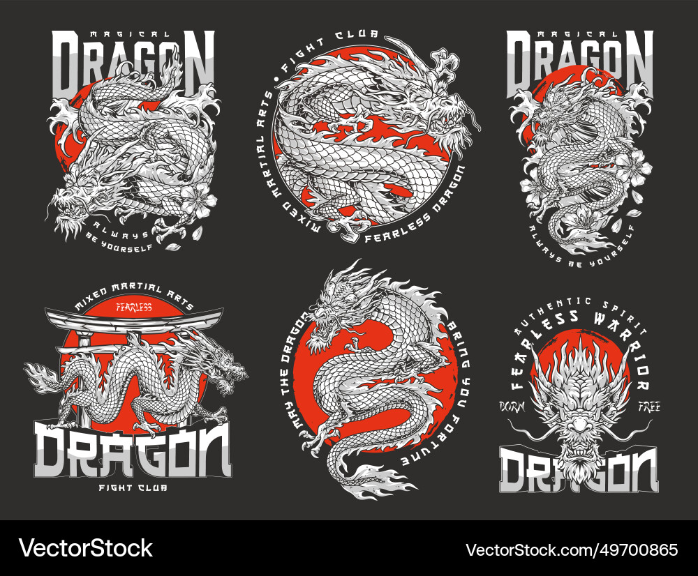 Mma dragon colorful set poster Royalty Free Vector Image