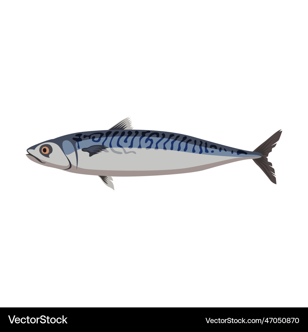 Freshwater mackerel fish cartoon Royalty Free Vector Image