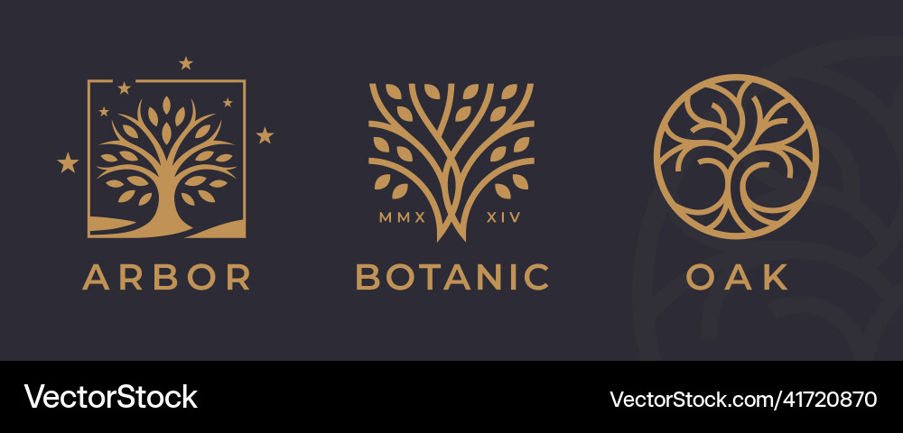 Tree of life logo icon set 3 Royalty Free Vector Image