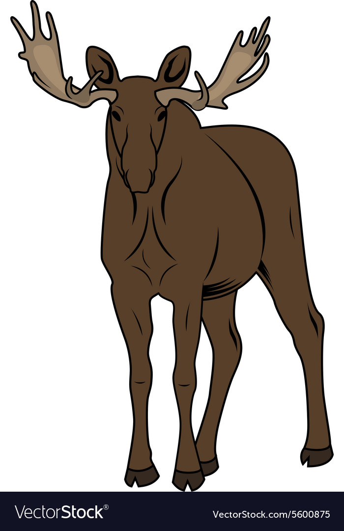 A Moose Royalty Free Vector Image - VectorStock