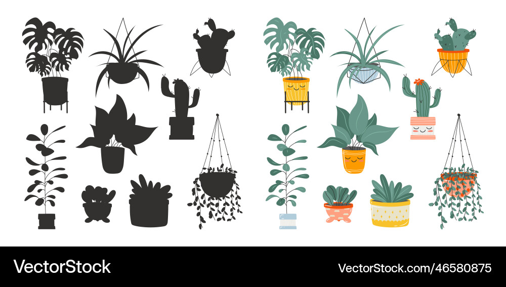 Find correct shadow silhouette Royalty Free Vector Image