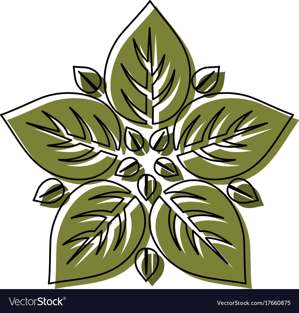 Leaf design Royalty Free Vector Image - VectorStock