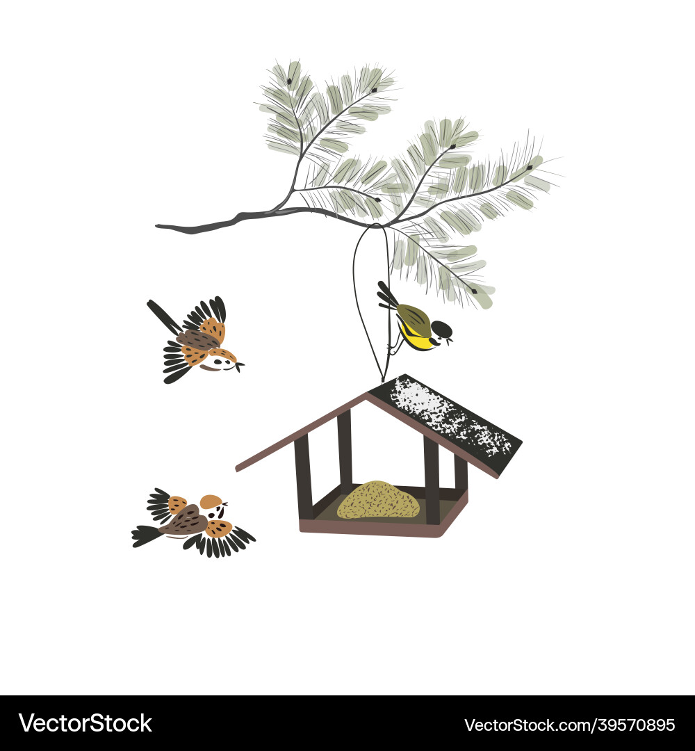 Bird feeders isolated on a white background Vector Image