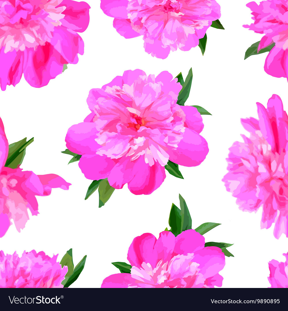Peony seamless pattern Royalty Free Vector Image