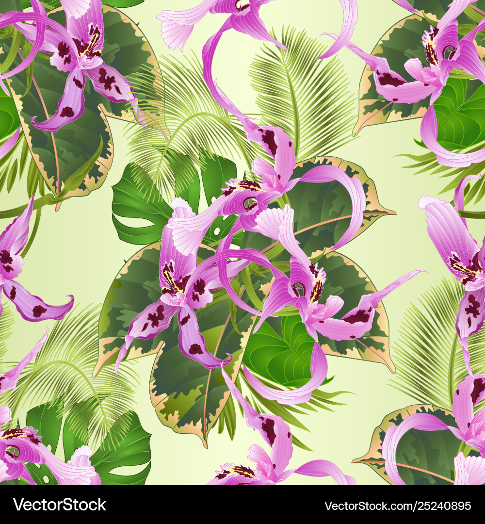Seamless texture tropical flowers orchid Vector Image