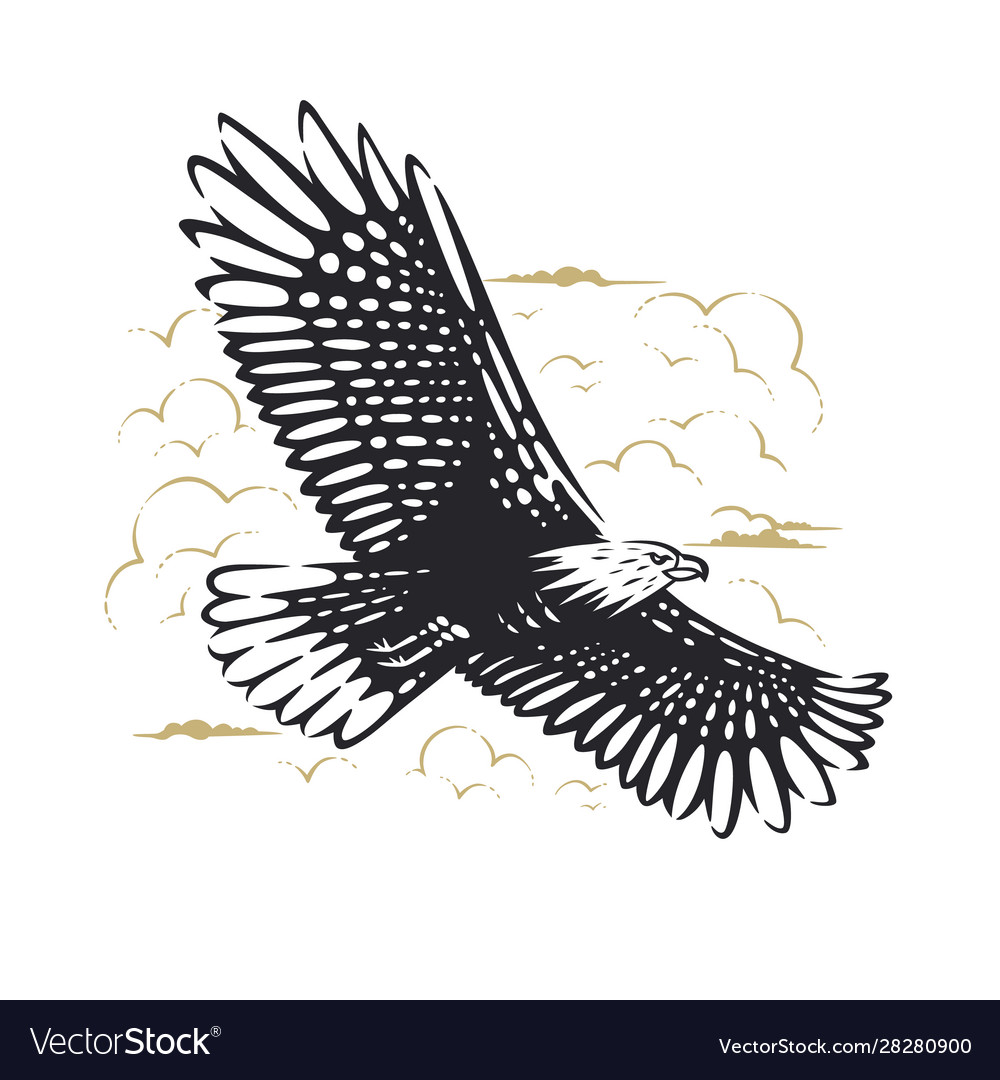 Eagle Royalty Free Vector Image - VectorStock