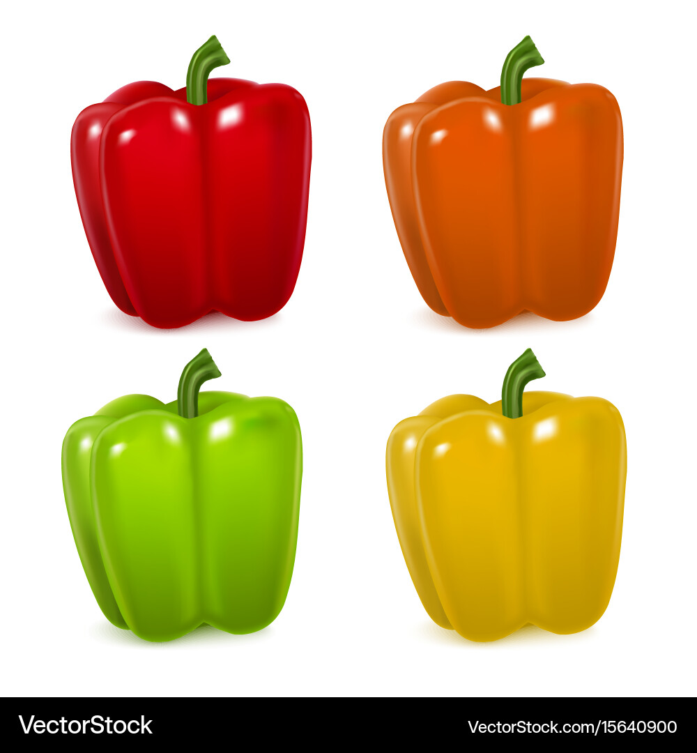 Realistic detailed color pepper set Royalty Free Vector