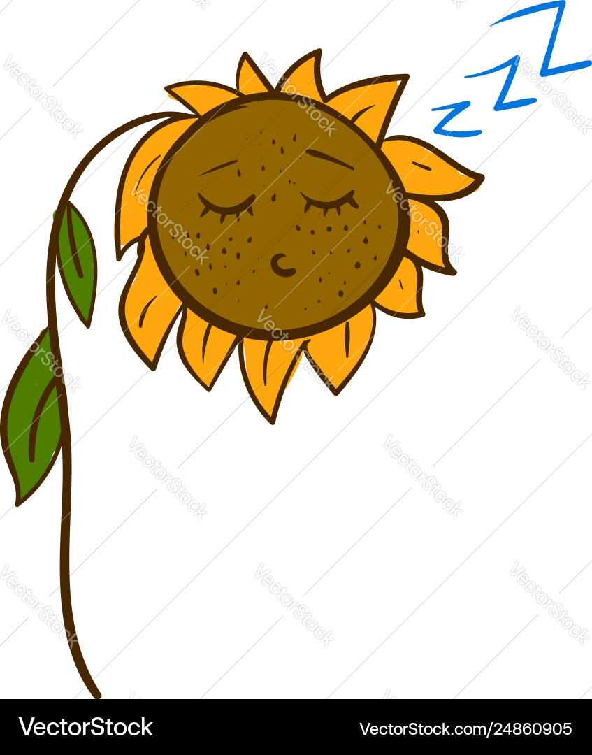 Cartoon a sleeping sunflower on white Royalty Free Vector