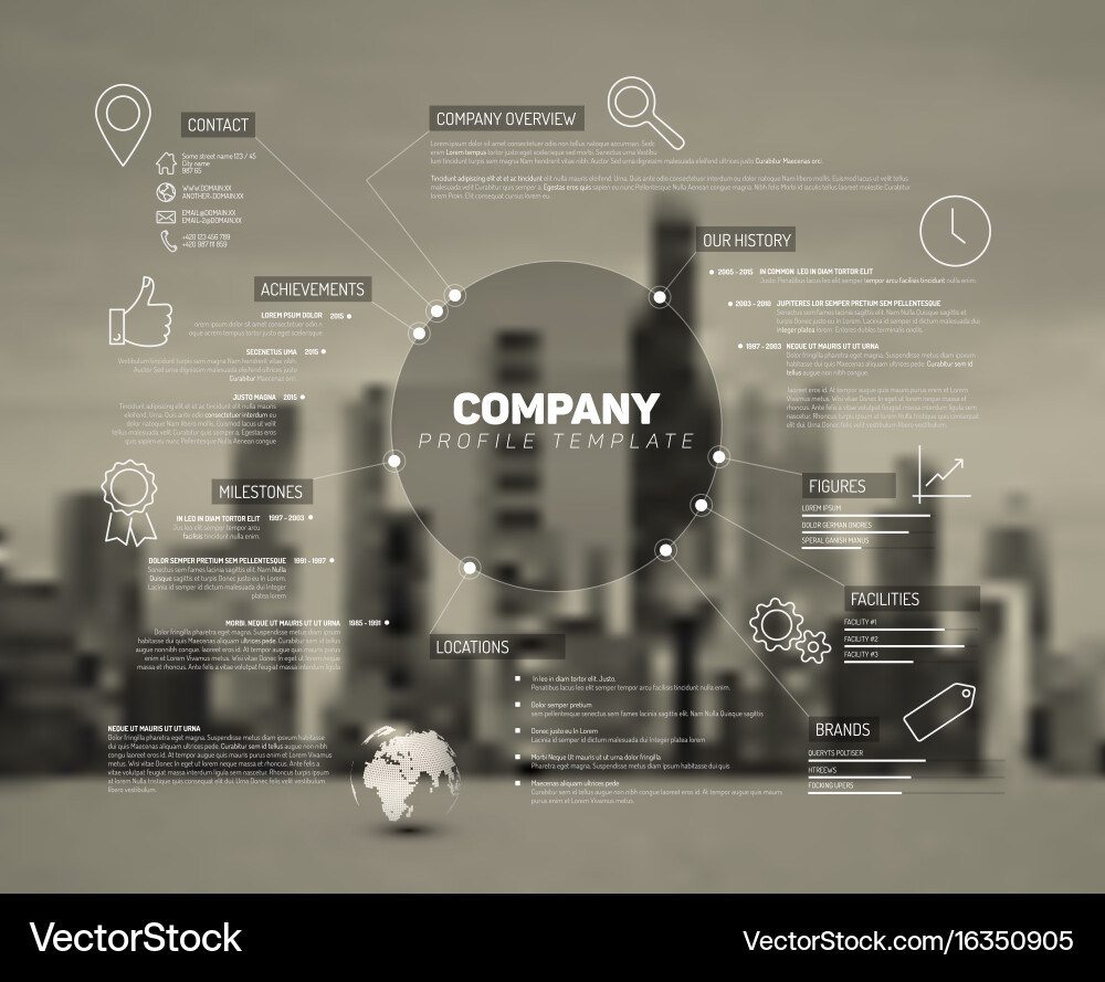 Company infographic overview design template Vector Image