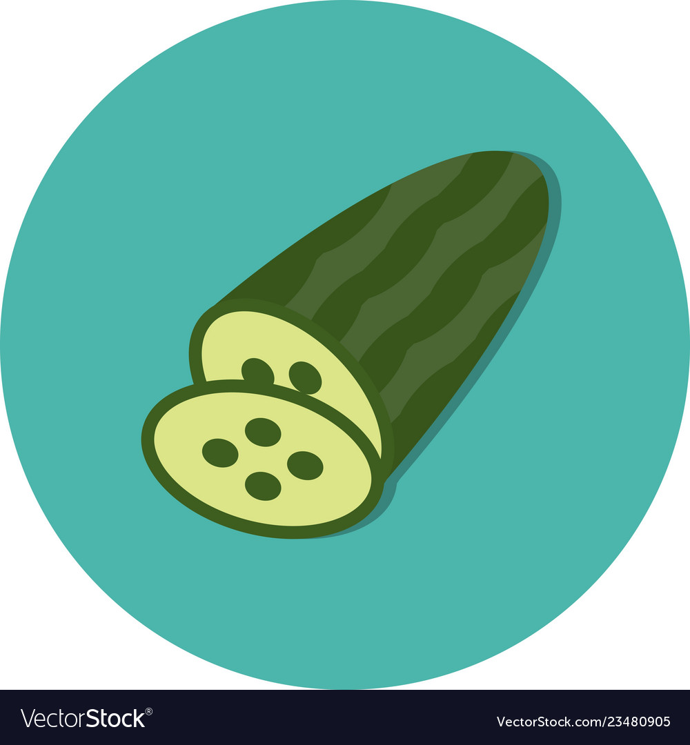 Cucumber icon Royalty Free Vector Image - VectorStock