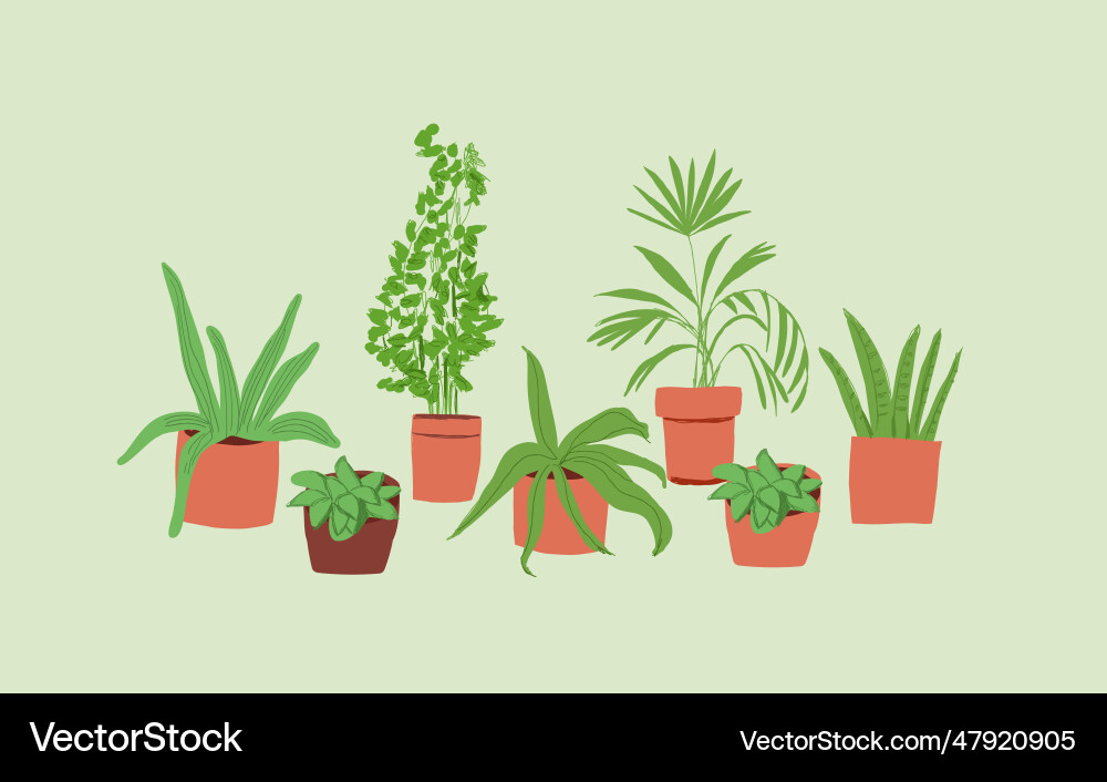 Plant in pot set cartoon flat Royalty Free Vector Image