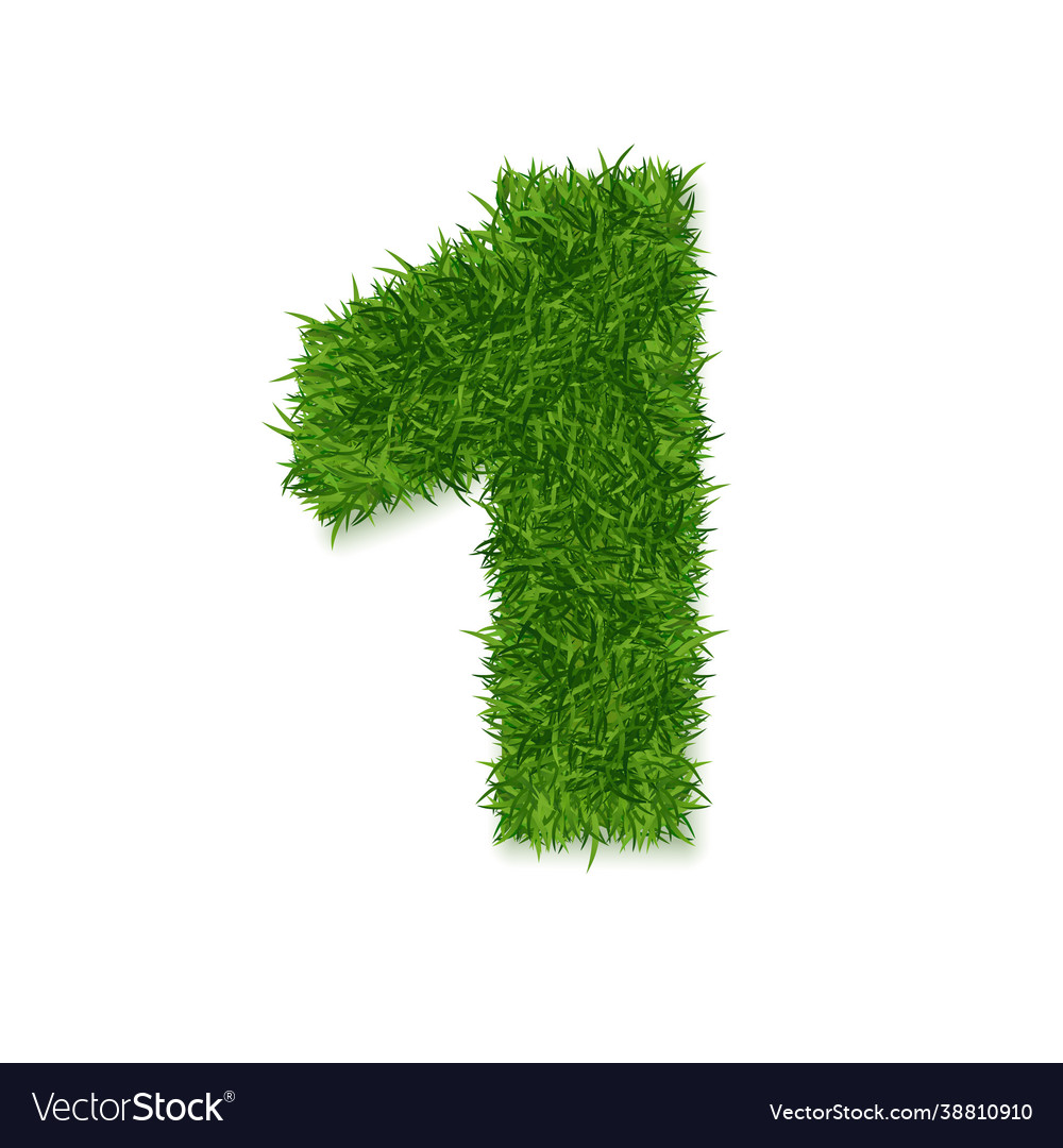 Realistic detailed 3d green grass number one Vector Image Realistic detailed 3d green grass number one Vector Image
