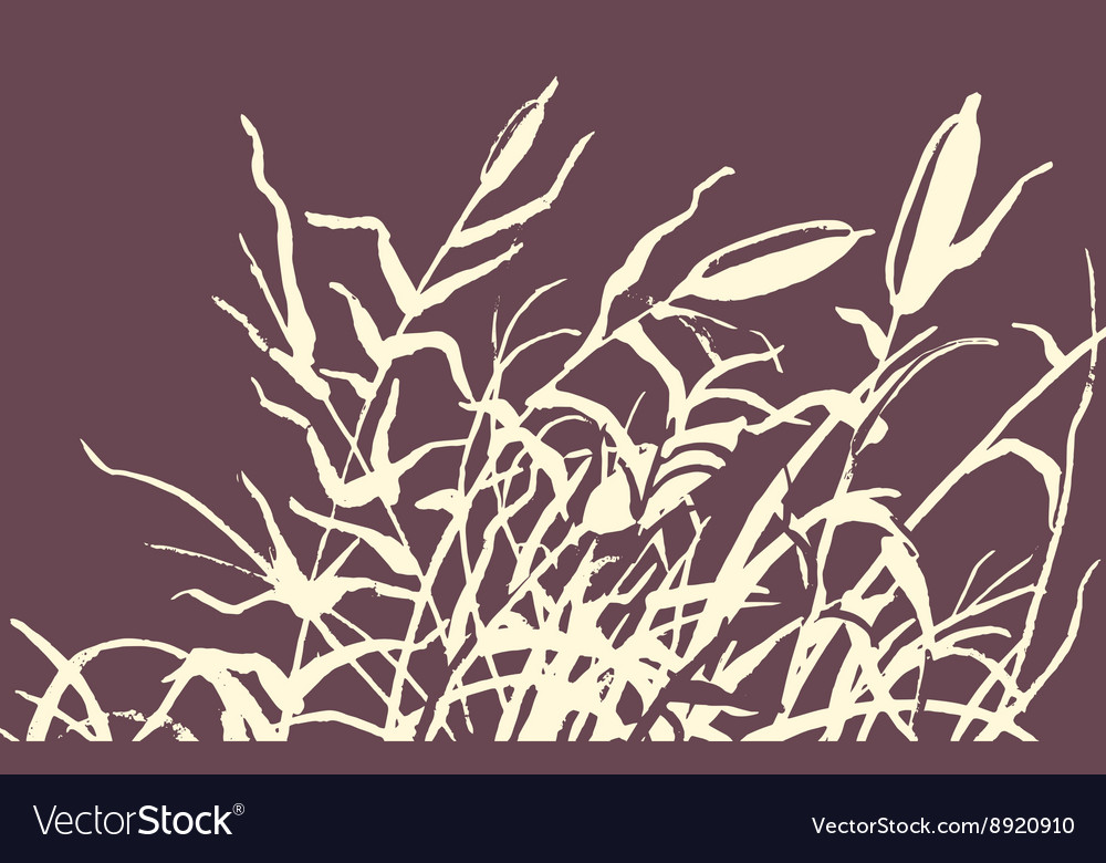 Reed Royalty Free Vector Image - VectorStock