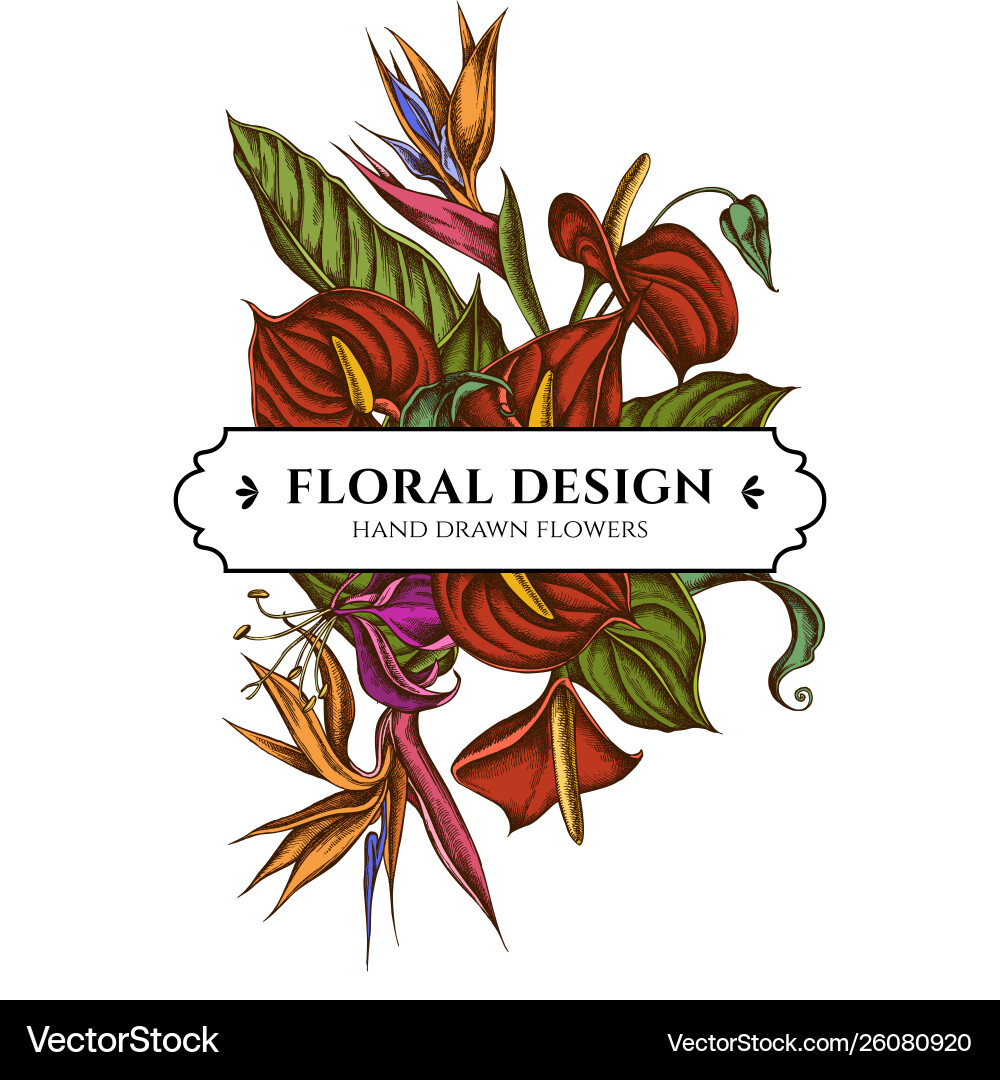 Floral bouquet design with colored gloriosa Vector Image