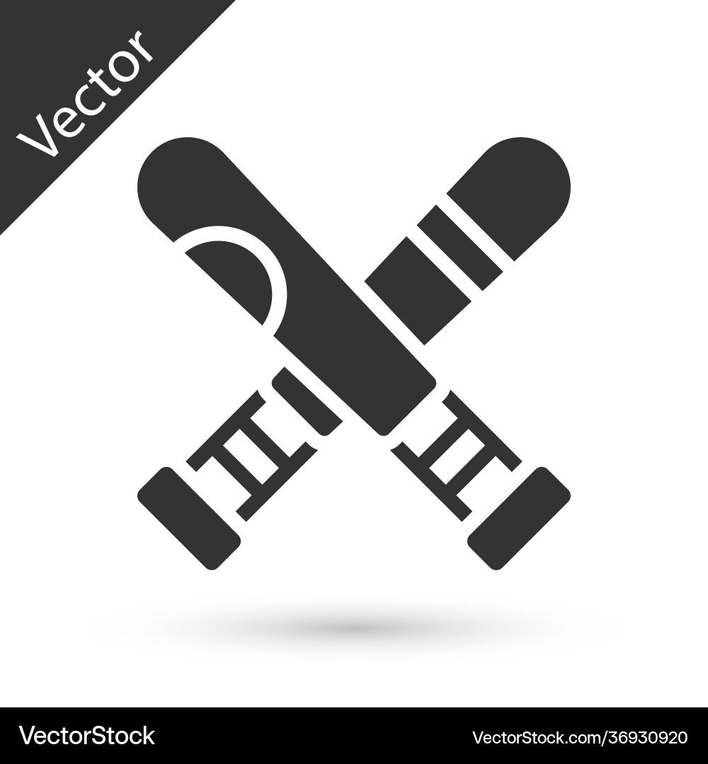Grey crossed baseball bat icon isolated on white Vector Image