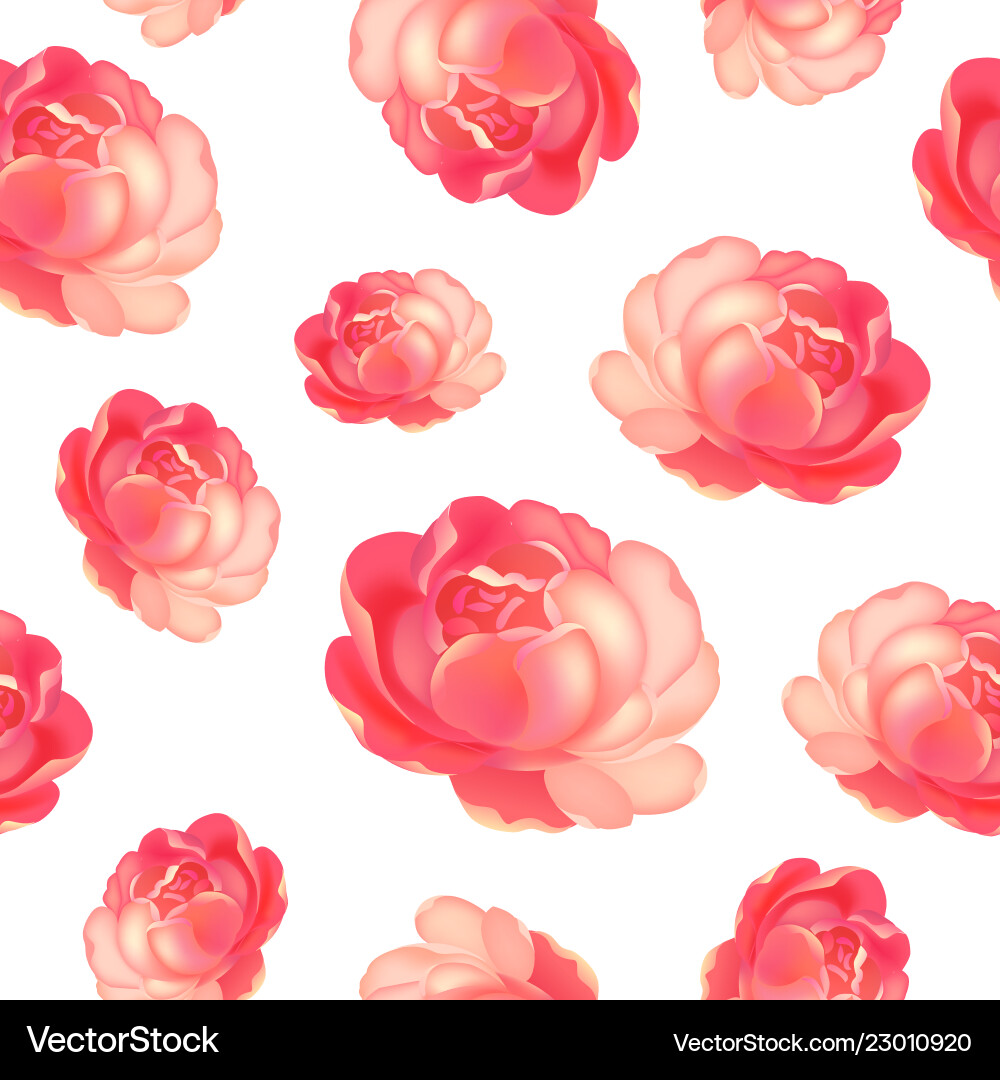 Roses pattern bunch of flowers repeating print Vector Image