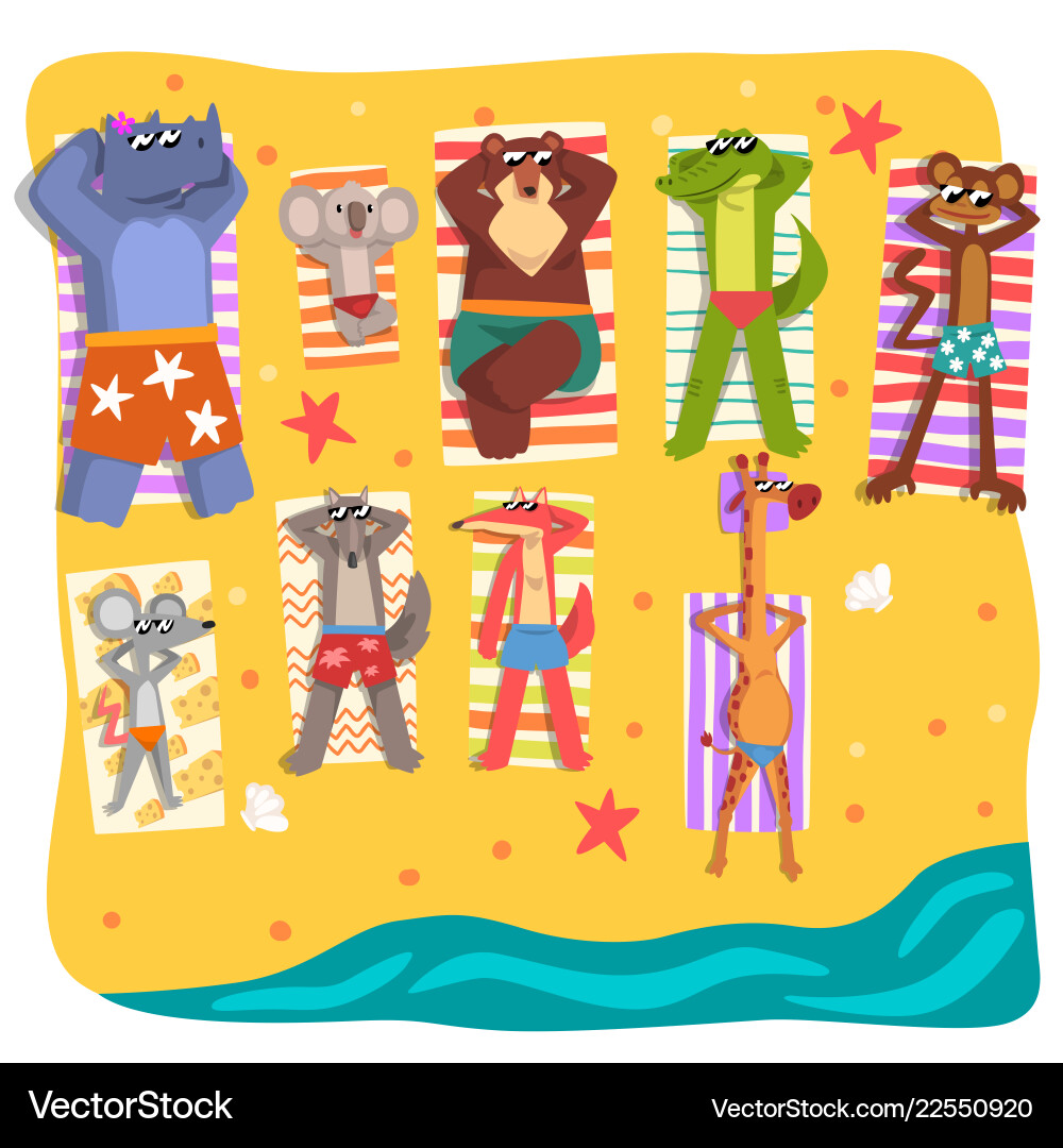 Wild animals sunbathing on the beach cute Vector Image
