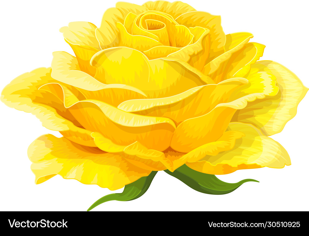Rose flower clip art Royalty Free Vector Image