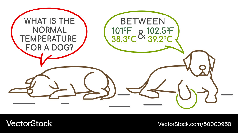 Normal temperature for a dog medical Royalty Free Vector
