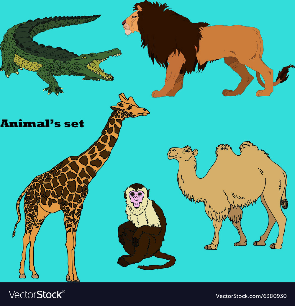 Set with africa animalsbeasts of savanna Vector Image