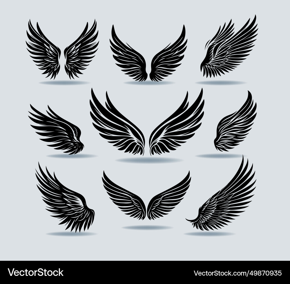 A collection of modern wings Royalty Free Vector Image