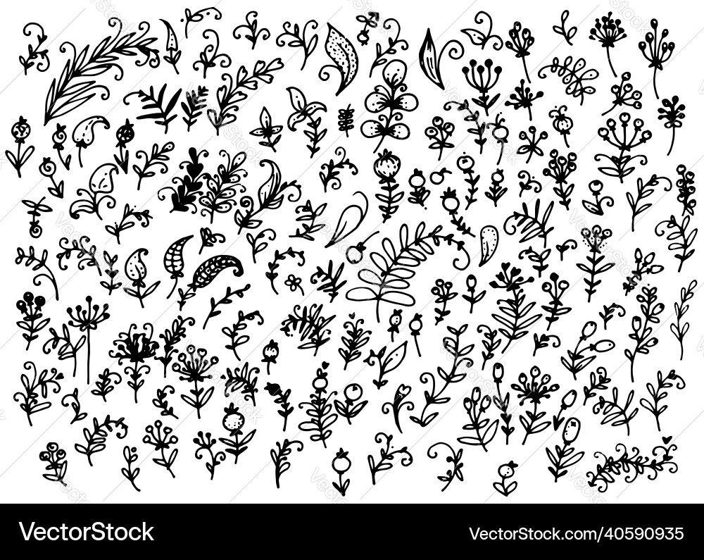 Set of isolated elements made of branches Vector Image