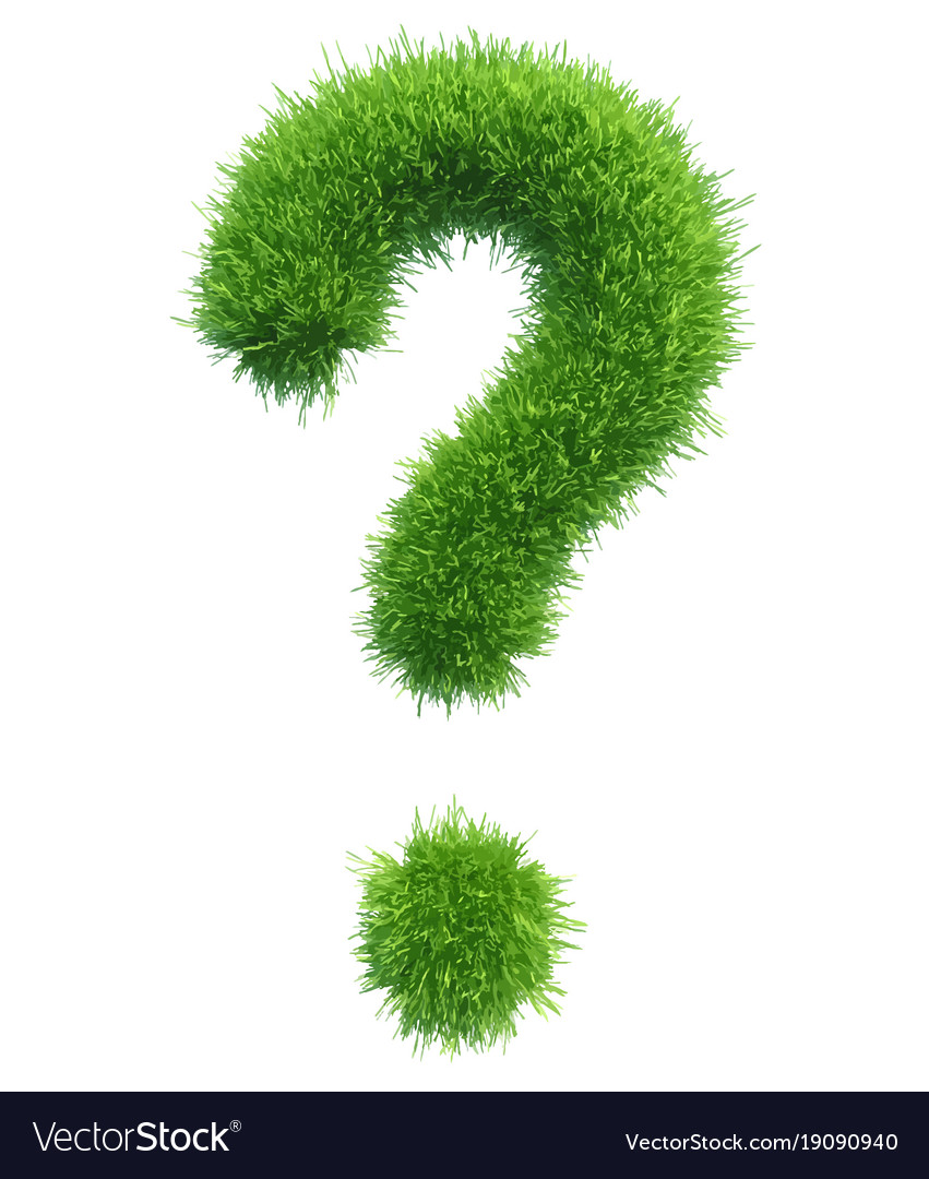 Question mark from grass Royalty Free Vector Image