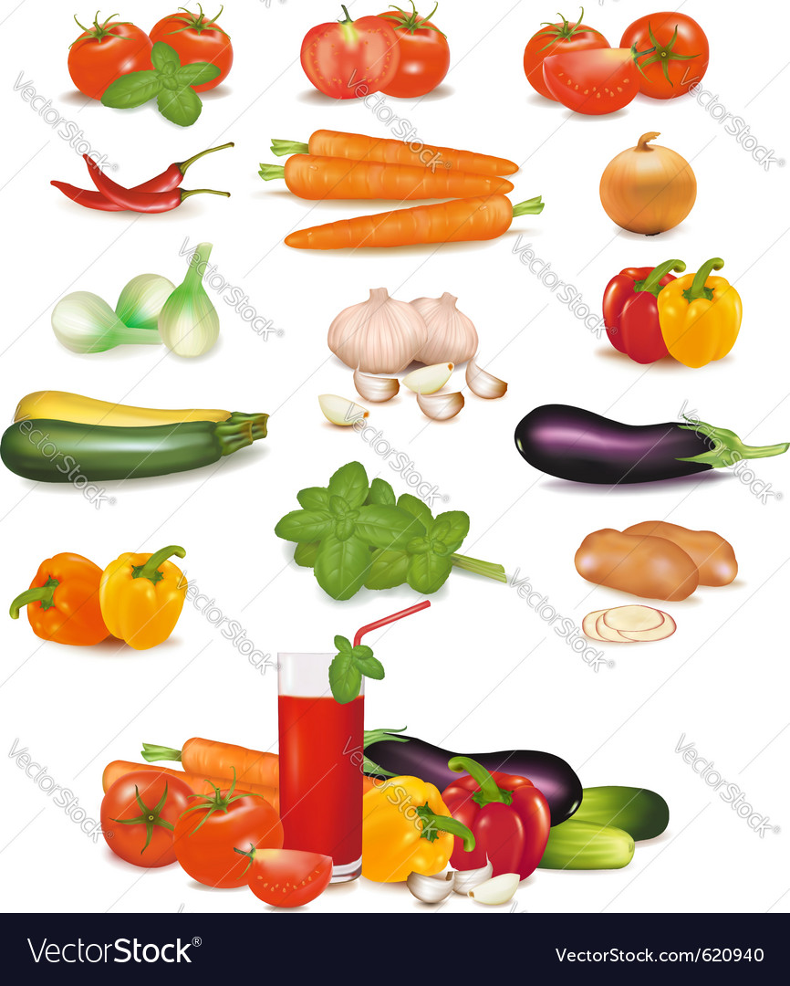 Vegetables Royalty Free Vector Image - VectorStock