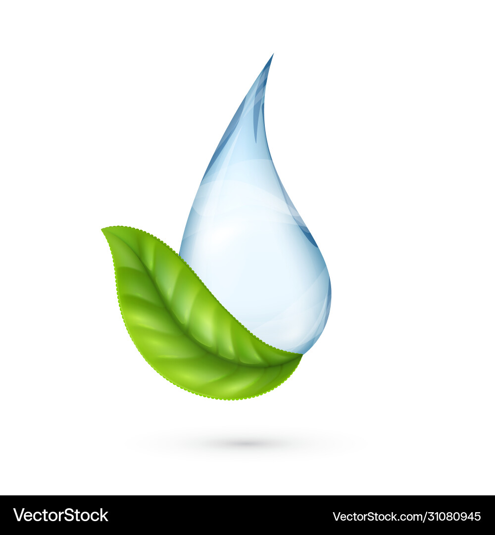 Clean water logo realistic drop with green Vector Image