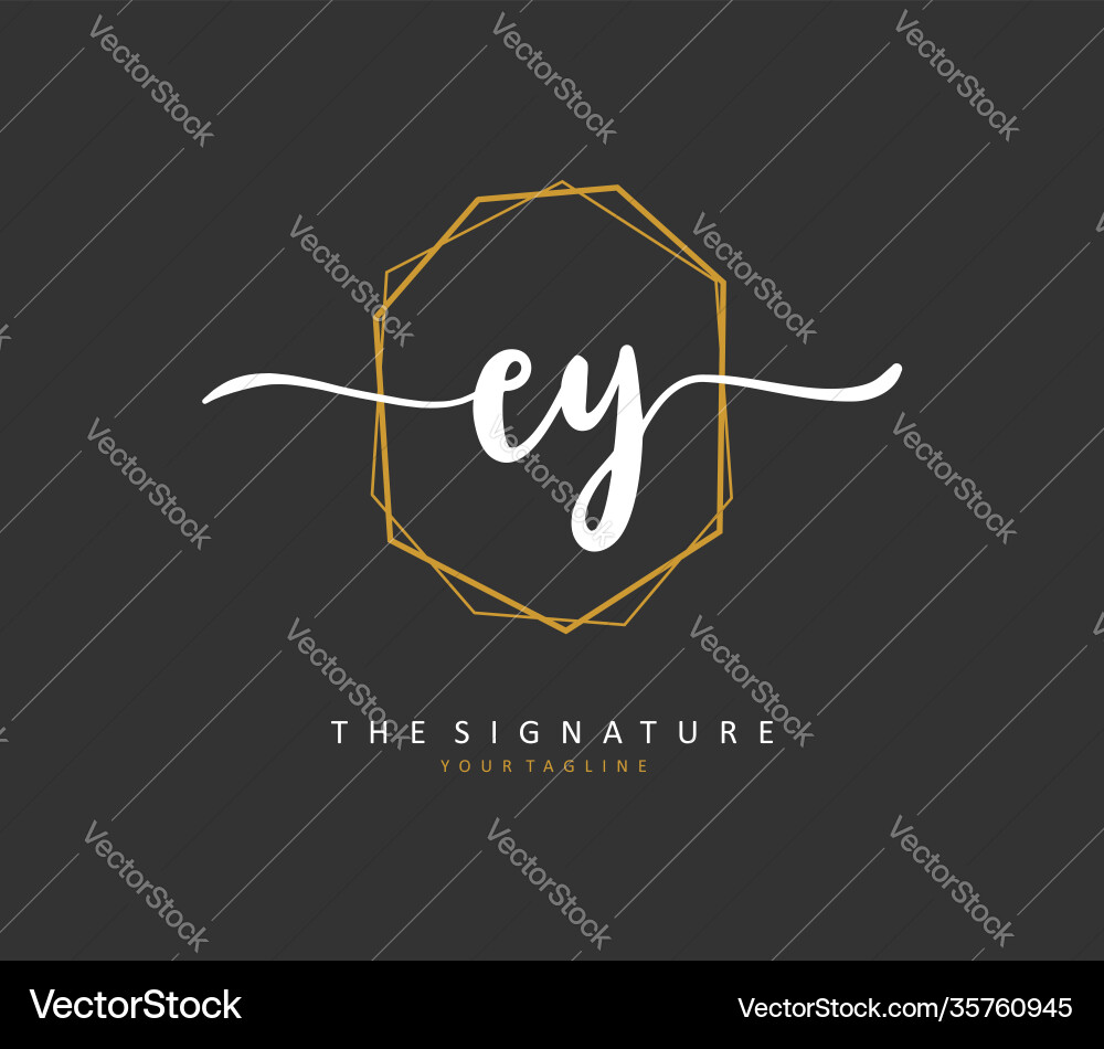 Ey initial letter handwriting and signature logo Vector Image