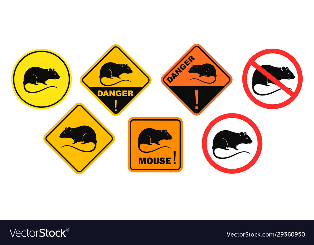 Mouse Royalty Free Vector Image - VectorStock