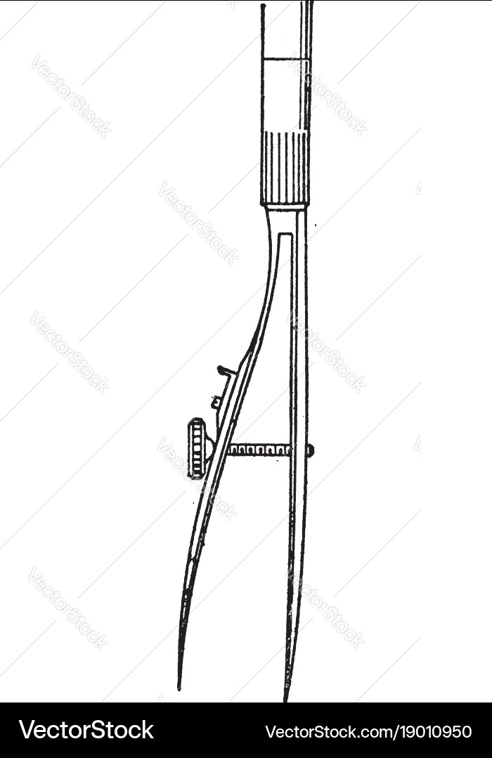 Oval nib ruling pen spring blade design vintage Vector Image