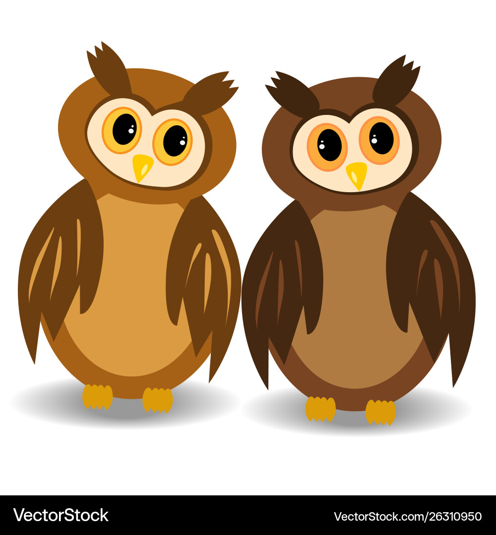 Two brown awake owls with open eyes looking Vector Image