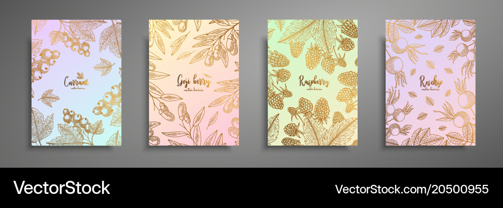 Gold colorful collection cards design Royalty Free Vector