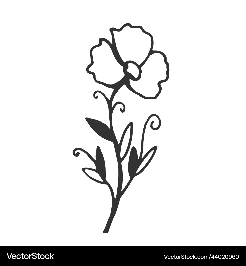 Hand drawn flower isolated on white background Vector Image