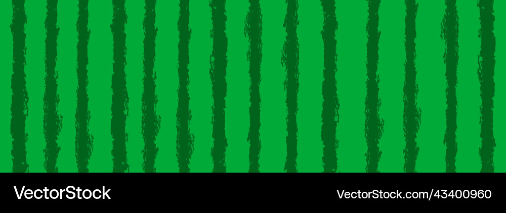 Texture of striped watermelon Royalty Free Vector Image