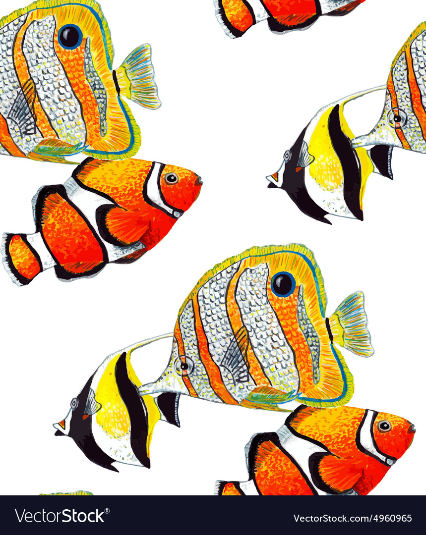 Fish pattern Royalty Free Vector Image - VectorStock