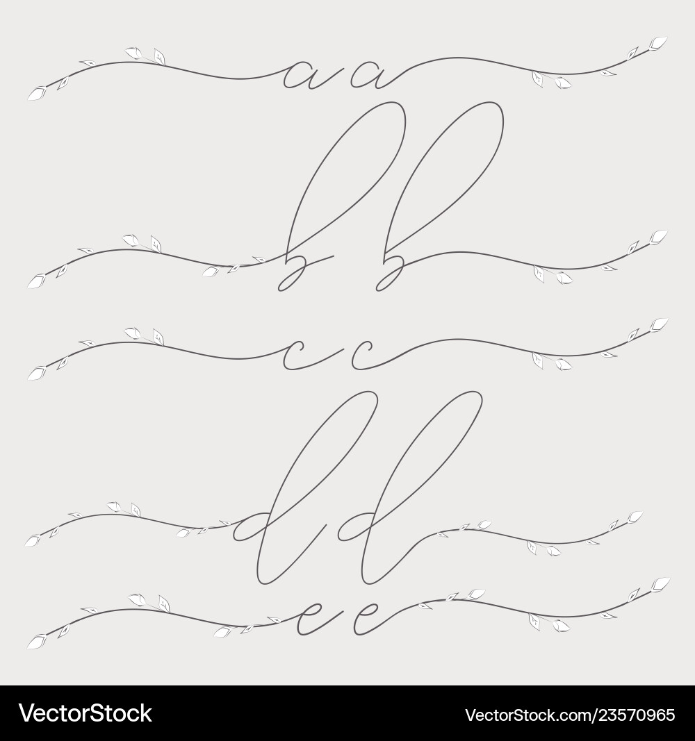 Hand lettering floral lowercase monograms and Vector Image