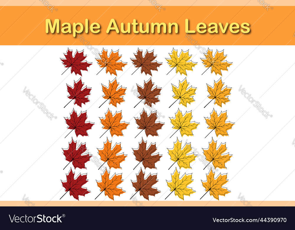 Autumn maple leaf set Royalty Free Vector Image