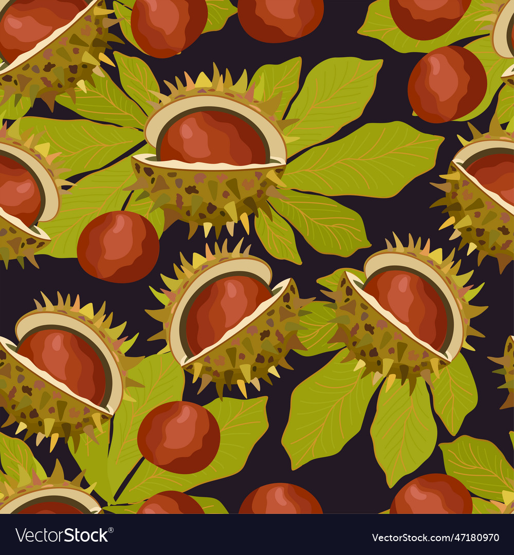 Chestnut pattern Royalty Free Vector Image - VectorStock